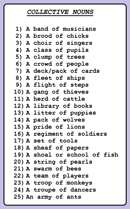 What Are The 15 Collective Nouns 2022 Animalia life club