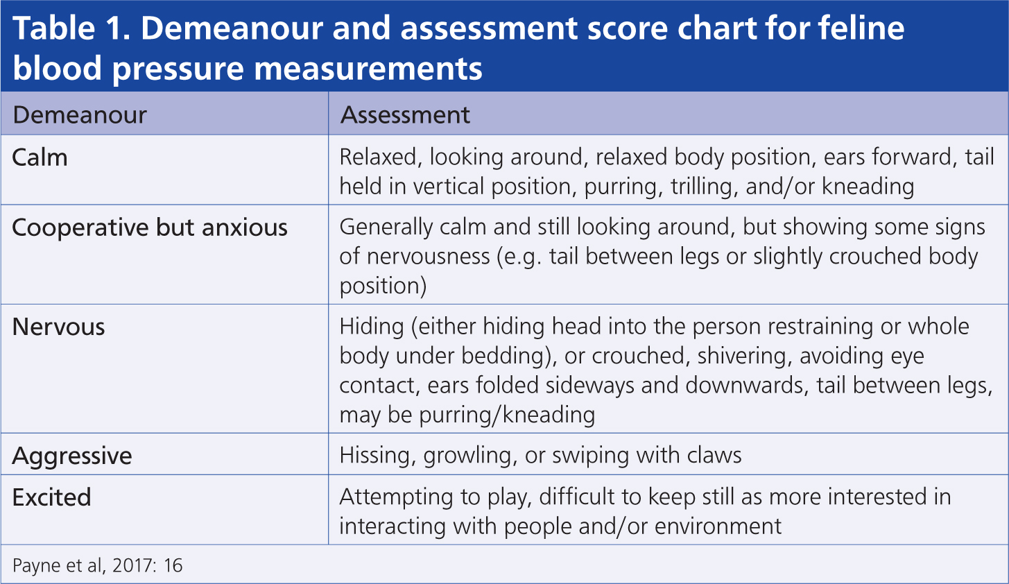 What is normal feline blood pressure? [2022] 🐬 | Animalia-life.club