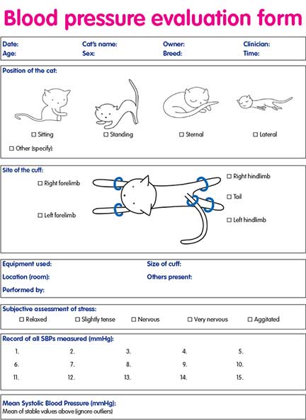 Which animal blood pressure is high? [2022] 🐬 | Animalia-life.club